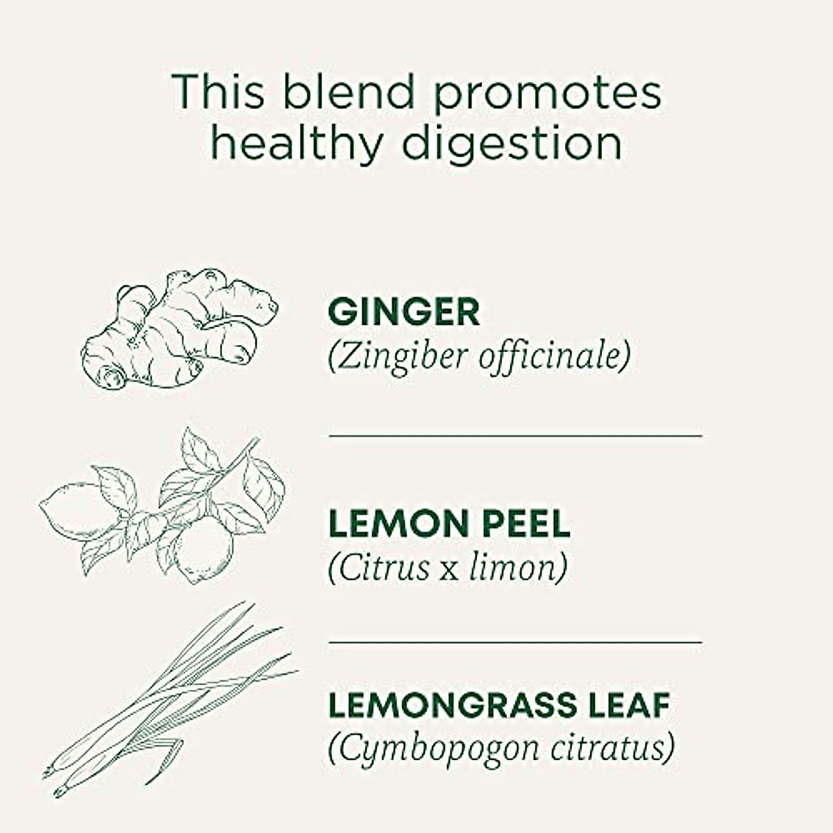 Traditional Medicinals Tea, Organic Lemon Ginger, Promotes Healthy Digestion, 16 Tea Bags
