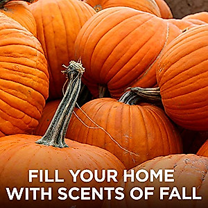 Glade Candle Pumpkin Spice, Fragrance Candle Infused with Essential Oils, Air Freshener Candle, 3-Wick Candle, 6.8 Oz