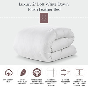 Ella Jayne Down-Top Featherbed - King