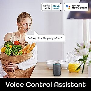Geeni Smart Garage Door Opener, WiFi App Controlled Garage Opener, Compatible with Alexa and Google Home, No Remote Required
