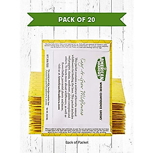 American Meadows Wildflower Seed Packets "Feed The Bees'' Party Favors (Pack of 20) - Pollinator Wildflower Seed Mix to Attract Hummingbirds, Bees, and Butterflies, Party Favor for Any Occasion