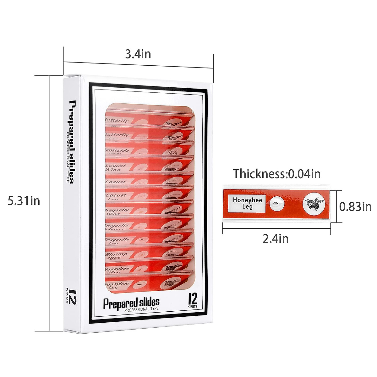 Microscope Sample Prepared Slides 48pc Kids Plastic Prepared Microscope Slides of Animals Insects Plants Flowers Sample Specimens for Stereo Kids Science Toy Educational Toy