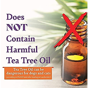 BLUECARE LABS Bitter Apple Spray for Dogs to Stop Chewing - Corrector Spray for Dogs to Prevent Licking and Chewing on Furniture, Paws and Wounds - No Alcohol and Non Toxic - Made in The USA 8oz