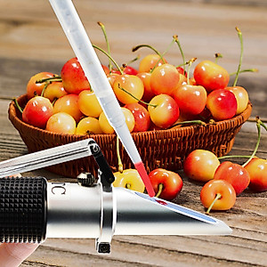 Gain Express 0-32% Brix Refractometer ATC High-Concentrated Sugar Solution Content Test Tool 0.2% Division, Homebrew Tester Meter, Brandy Beer Fruits Vegetables Juices Soft Drinks