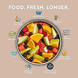 RIGWA Stainless Steel Insulated Food Container - Hot and Cold Insulated Bowl - Vacuum Sealed Containers for Food - Bowls with Lids, 48oz, Pink Coral