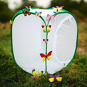 30x30x30cm Foldable Insect Breeding Cages Net Cloth Mantis Stick Praying Cylindrical Cage Plant Cultivation Mosquito Net Box- Insect Cage