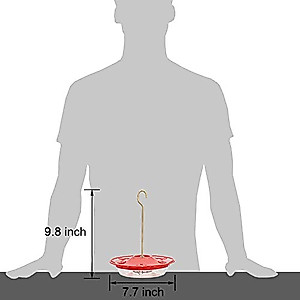 Juegoal 12 oz Hanging Hummingbird Feeder (12 oz)