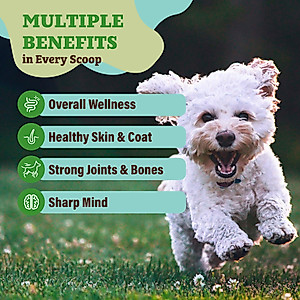 Natural Dog Company Dog Allergy Relief and Nutritional Support, Complete Wellness Bundle with Aller-Immune Chews, Wild Alaskan Salmon Oil, and Super Greens Granules for Skin, Coat, and Immune Health