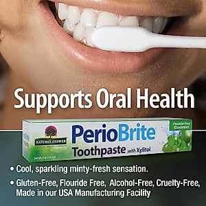 Nature's Answer PerioBrite Natural Toothpaste, Cool Mint, 4-Ounce (Pack of 2) Fluoride Free with CoQ10 & Folic Acid | Naturally Whitens Teeth | Freshens Breath | Removes Plaque | Minimizes Dry Mouth