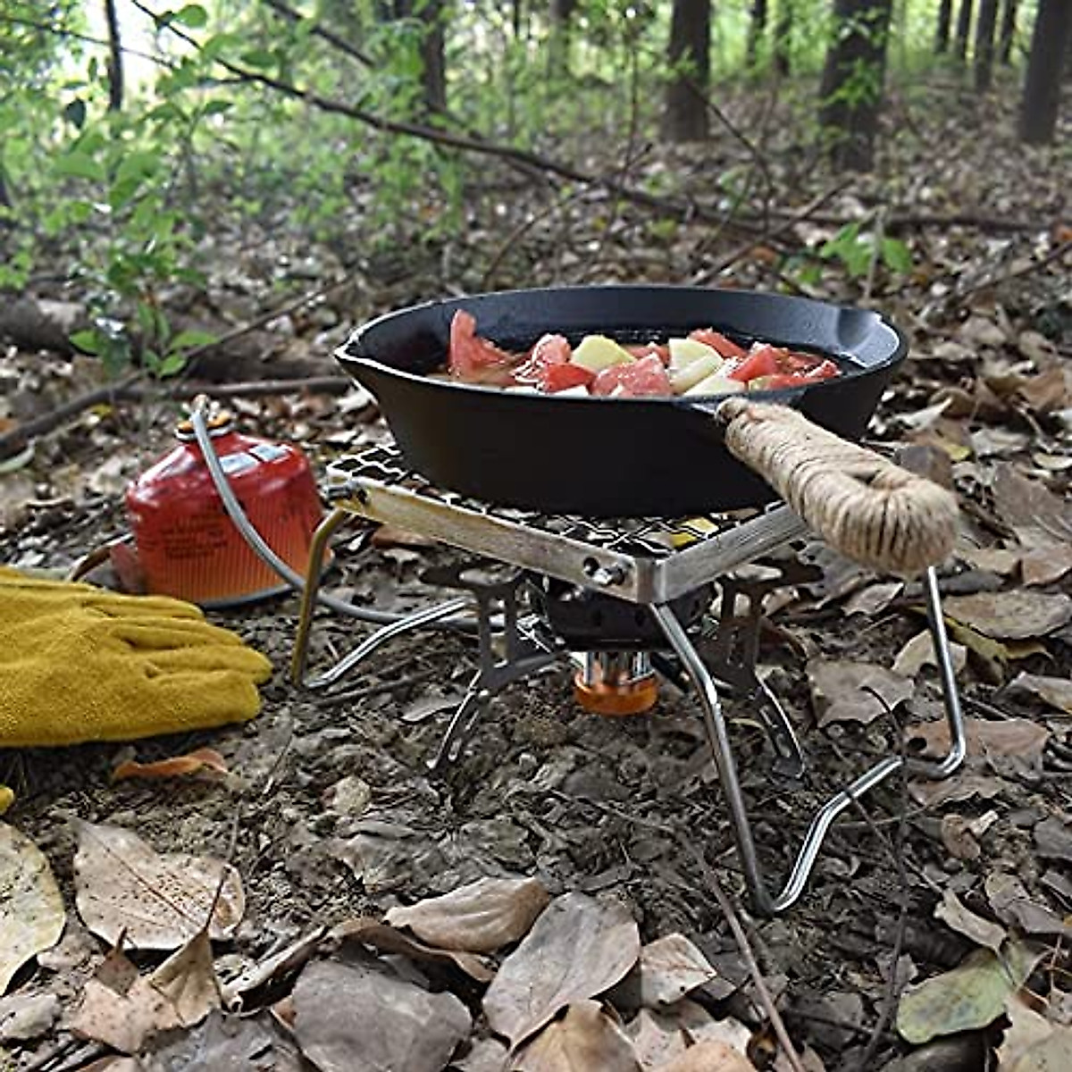 SDGH Folding Grill Gas Barbecue Tool BBQ Outdoor Portable Mini Campfire for Camping Picnic Grate