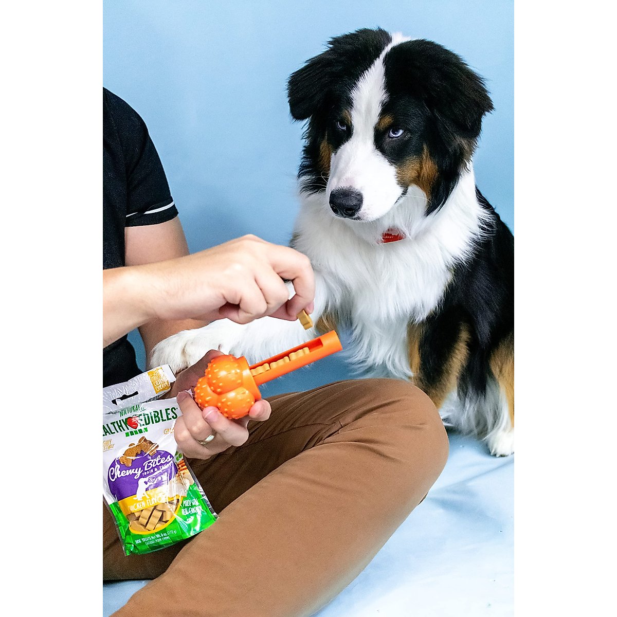 Nylabone Strong Chew Sneaky Snacker Treat Toy for Dogs, Interactive Dog Enrichment Chew Toys, Bacon Flavor, Large/Giant - Up to 50 lbs. (1 Count)