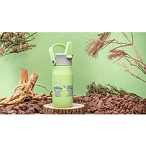 Zak Designs Harmony Star Wars The Mandalorian Kid Water Bottle for Travel or At Home, 14oz Recycled Stainless Steel is Leak-Proof When Closed and Vacuum Insulated (Baby Yoda, Grogu)