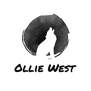 Set of 3 Air Plants Holders - Real Wood Live Air Plant Holders - Three 3 1/2" Wood Circles - Airplant Planter Holder