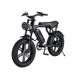 Fat Tire Electric Bike, Adult Electric Bicycles