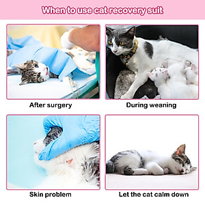 PUMYPOREITY Cat Recovery Suit, Cat Surgery Recovery Suit Female, Cat Spay Recovery Suit, Alternative to Cone of Shame, Cat Surgical Recovery Suit for Skin Diseases and Abdominal Wound, Pink, S