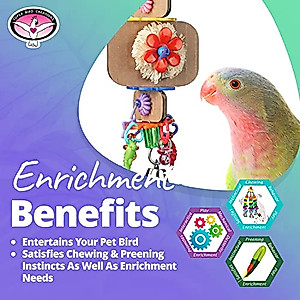 Super Bird Creations SB1090 Nibbles 'N Chips Bird Toy, Small/Medium Bird Size, 8.5" x 3" x 1.5"