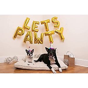 H&K Pet Pinwheel | Superstar (Small) | Birthday Velcro Collar Accessory for Dogs/Cats | Fun Pet Pinwheel Collar Attachment | Cute, Comfortable Pet Accessory