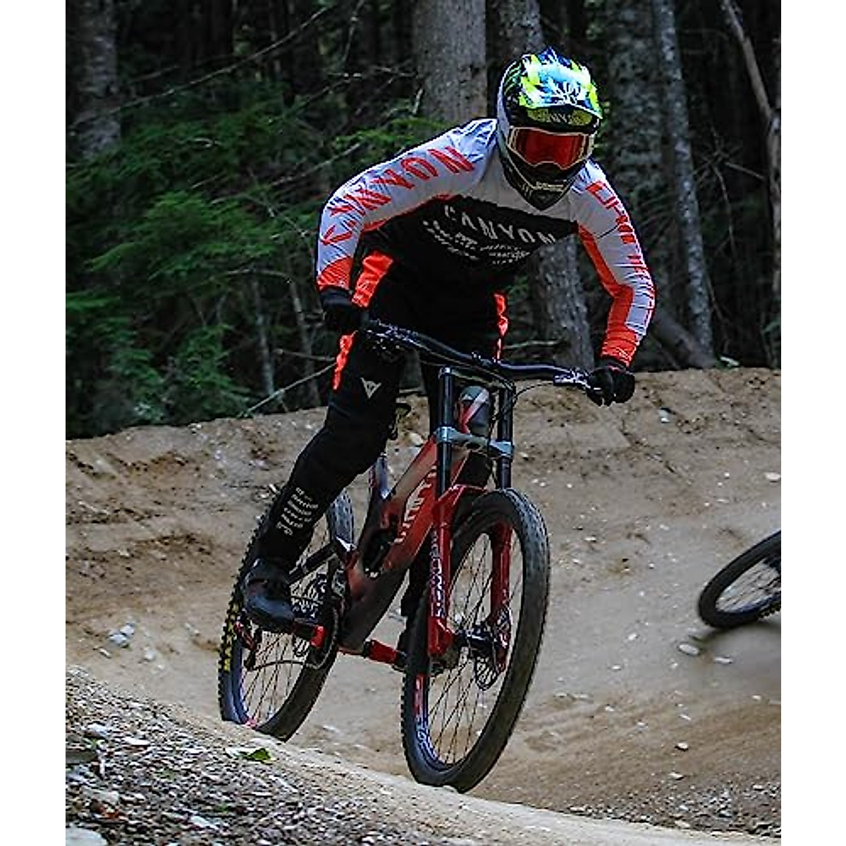 Maxxis Dissector 29 X 2.6 WT 120 TPI Folding 3C MaxxTerra EXO+/TR, MA3834