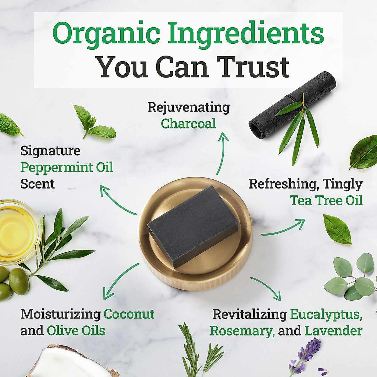 Natural Activated Charcoal Soap Bar (2-Pack) - Hand, Foot & Body Soap - Tea Tree, Peppermint & Charcoal Soap - Vegan, Cruelty Free - Made In USA - 8 Oz