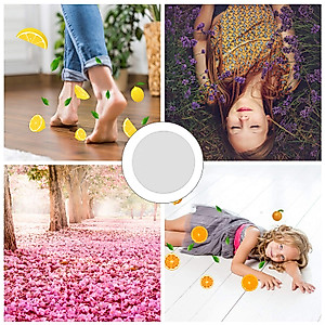 Maitys 24 Pieces Replacement Steam Mop Scent Disc 4 Different Fragrance Discs (Fresh Fragrances)