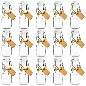 Mini Swing Top Glass Bottles with Lids, 2 oz Flip Open Top Glass Bottles for Wedding Party Favors, with Kraft Paper Tags and Jute Twine (15 Pack)