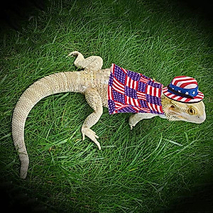 ADOGGYGO American Flag Bearded Dragon Hat Cloak USA Flag Lizard Patriotic Hat Cape Set, 4th of July Bearded Dragon Costume Accessories (4th of July)