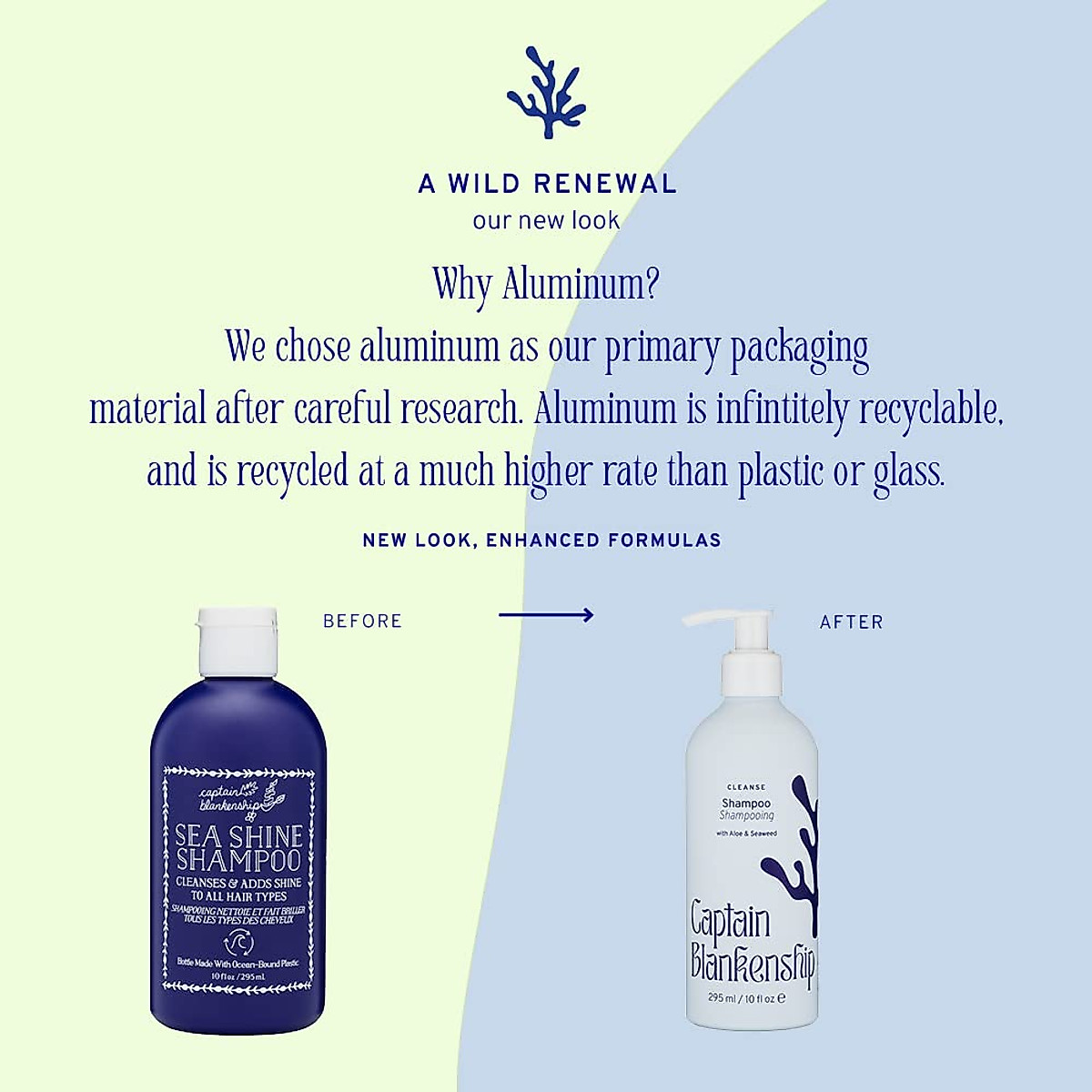 Captain Blankenship Cleanse Shampoo | Nourishes, Hydrates & Restores Shine to Dry, Dull Hair | Color-Safe, Organic, Sulfate-Free, Vegan Haircare - 10 oz