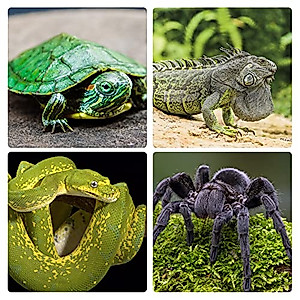INKPET Turtle Floating Basking Platform, Reptile Climbing Tortoise Resin Resting Terrace for Frogs Newts Amphibians Lizard