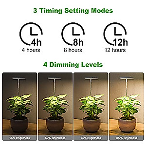 LORDEM Grow Light, Full Spectrum LED Plant Light for Indoor Plants, Height Adjustable Growing Lamp with Auto On/Off Timer 4/8/12H, 4 Dimmable Brightness, Ideal for Small Plants, Pack of 2