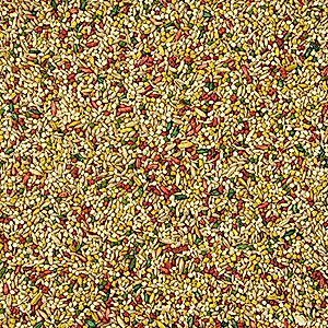 Kaytee Forti-Diet Egg-Cite Parakeet Pet Bird Food, 5 Pound