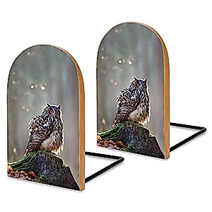 Nudquio Eurasian Eagle Owl Wooden Shelves Bookends Desktop Book Stand Book Ends Books Holder for Library School Home Office Study Bedroom Decoration（Logs）, One Size