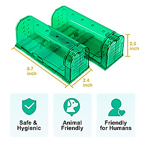 Vihoo Humane Mouse, mice, Rat, Trap, Catch, Release, Live Mouse Trap, House, Garage, Patio, Reusable, Indoor, Outdoor. (6 Pack), Green (HGMT002)
