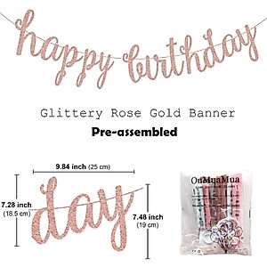 OuMuaMua Pink Rose Gold Birthday Party Decorations Set, Rose Gold Glittery Happy Birthday banner, Tissue Paper Pom, Circle Dots Garland and Tassel Garland for Birthday Party Decorations
