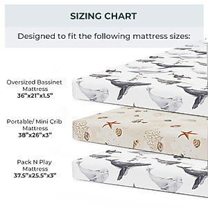 Pobibaby - 2 Pack Premium Pack N Play Sheets Fitted for Standard Pack and Plays and Mini Cribs - Ultra-Soft Jersey Knit, Stylish Ocean Pattern, Safe and Snug for Baby (Seaside)