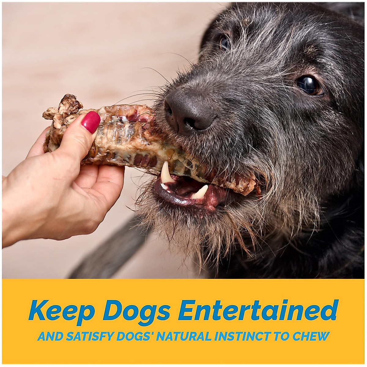 123 Treats Premium Beef Trachea for Dogs – 6 Inch 100% Natural Beef Dog Chews, Rich in Glucosamine and Chondroitin for Joint & Hip Mobility (10 Count)