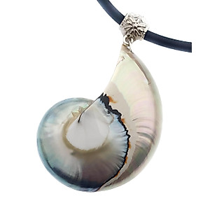 Swimmi Rare Natural Open Nautilus Shell Necklace, Hand Polished Pearly Nautilus Necklace for Women, Adjustable Cord Nautilus Mother of Pearl Necklace, Ursula Necklace Jewelry AA419-CR