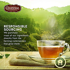 Celestial Seasonings Bengal Spice Tea, 20 Count, 1.7 Oz