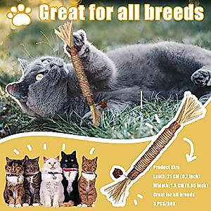YWAOOH Catnip Toys with Silvervine for Cats, Cat Chew Toy for Kitten Teething, Interactive Cat Toy for Indoor Cats, Natural & Safe Cat Toys
