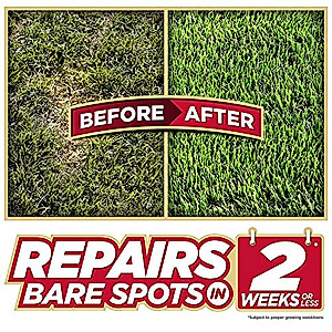 Pennington One Step Complete Sun & Shade Bare Spot Grass Seed, 5 Pounds, White