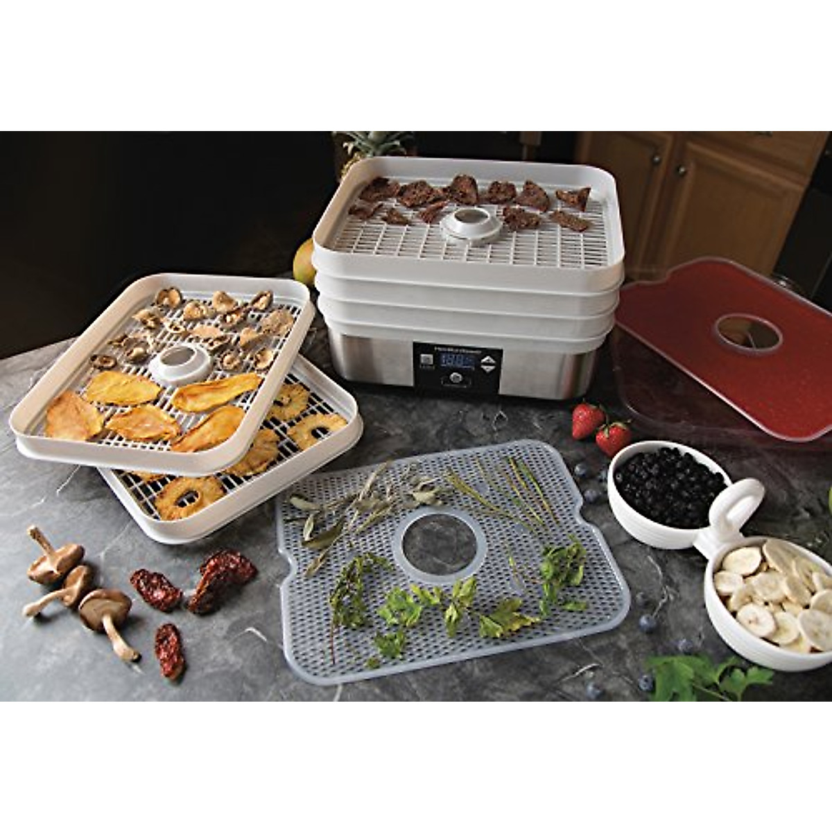Hamilton Beach Digital Food Dehydrator for Fruit and Jerky, Vegetables and More, 5 Trays, Adjustable Temperature, 48 Hour Timer + Auto Shutoff, Grey (32100A)