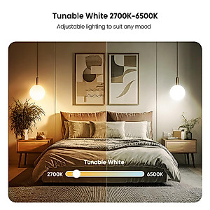 TREATLIFE Smart Light Bulbs, WiFi LED Light Bulb, Dimmable Smart Bulb Works with Alexa, Google Home, SmartThings, Warm White& Cool White(2700K-6500K), 2.4Ghz, 800LM, E26, A19, 9W, No Hub Required