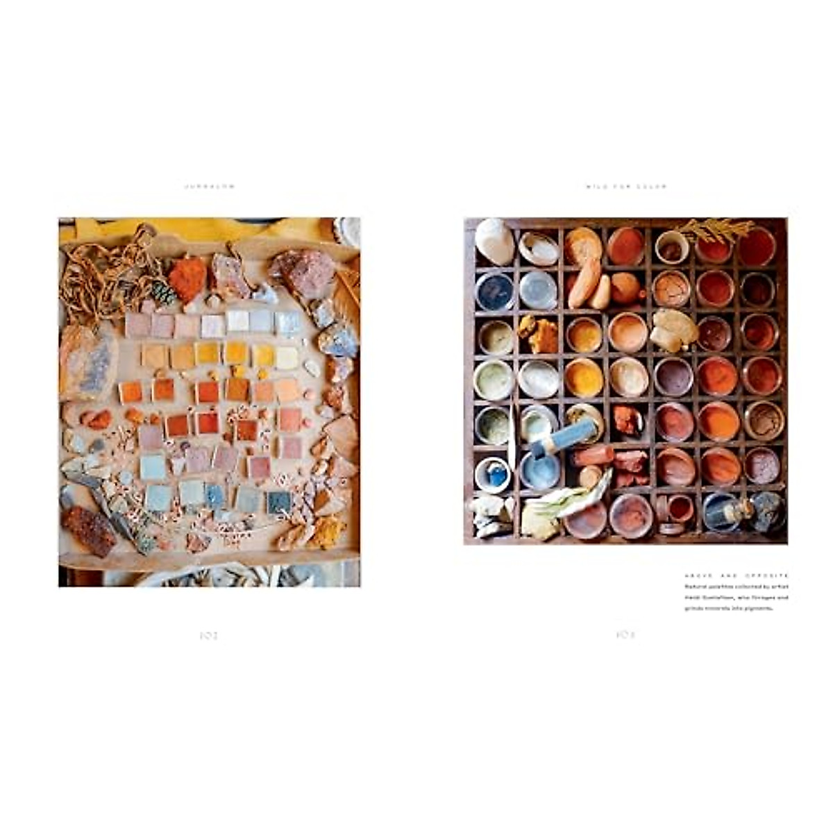 Jungalow: Decorate Wild: The Life and Style Guide