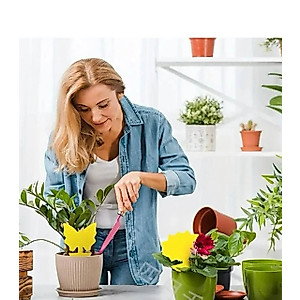 Zevo Flying Insect Trap Refill, 2 Count (Pack of 2), Set with (4) pcs of Exclusive Fusion Shop Store Modern Yellow Sticky Fruit Trap (Device is NOT Included)