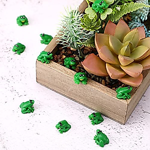 Yardwe 20pcs Resin Mini Frogs Realistic Frog Miniature Figurines Animals Model Cupcake Toppers DIY Crafts Fairy Garden Moss Landscape Terrarium Ornament Accessories