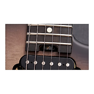 EVH 5150 Series Deluxe Poplar Burl Electric Guitar - Black Burst