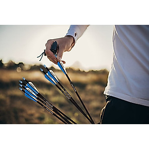 ARCHERY SHARLY 30Inch Carbon Hunting Arrow, Targeting Practice Arrows for Compound & Recurve Bow, Blue White Arrows with Removable Tips & Replaceable Nocks (12 Pack)