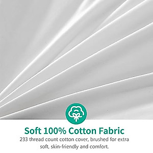 APSMILE Queen Size Feathers Down Comforter - Ultra Soft All Seasons 100% Organic Cotton Feathers Down Duvet Insert Medium Warm Quilted Bed Comforter with Corner Tabs (90x90,Ivory White)