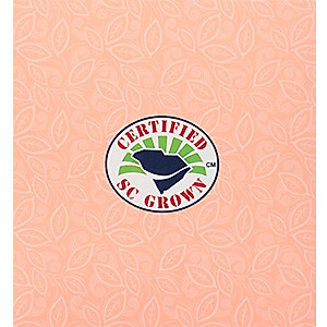 Peachy Peach Pyramid Teabags, 12 Count, 1.05 Ounce (04358)