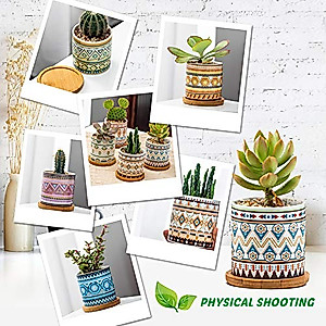 Feoxialy Succulent Plant Pots 6 Pack with Drainage 3.1 Inch Cylinder Flower Pots Small Ceramic Pots for Plants Indoor&Outdoor Garden Flower Planter Tray for All House Plants/Succulents/Flowers/Cactus