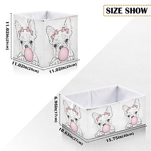 French Bulldog with Gum Storage Baskets for Shelves Foldable Collapsible Storage Box Bins with Cubes Toys Closet Organizers for Pantry Clothes Storage Toys, Books, Home, Office,16 x 11inch